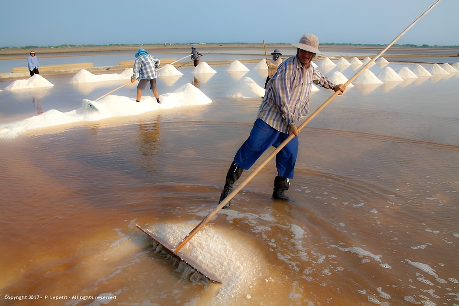 Concentration Plants - Chem Process System